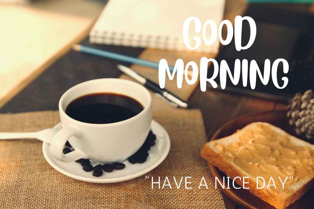 Best Good Morning Images and Photos 2024 Download Free