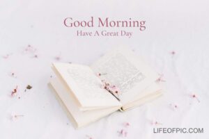 Best Good Morning Images and Photos 2024 Download Free