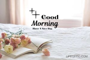 Best Good Morning Images and Photos 2024 Download Free