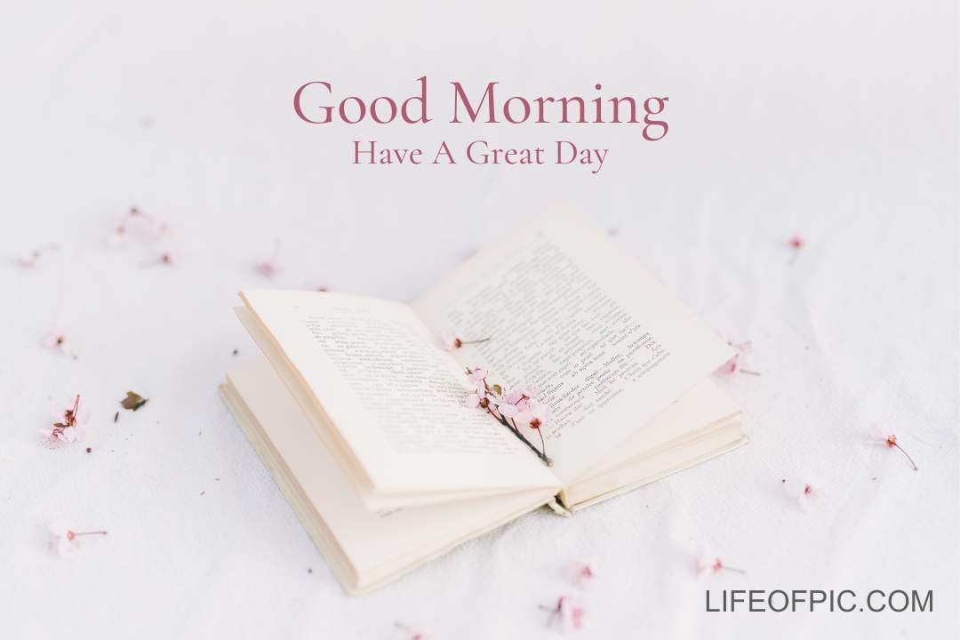 Best Good Morning Images and Photos 2024 Download Free