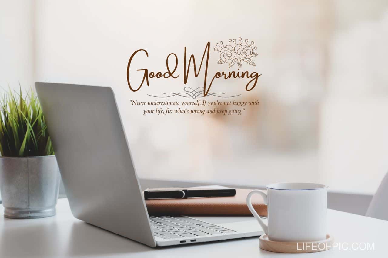 Best Good Morning Images and Photos 2024 Download Free